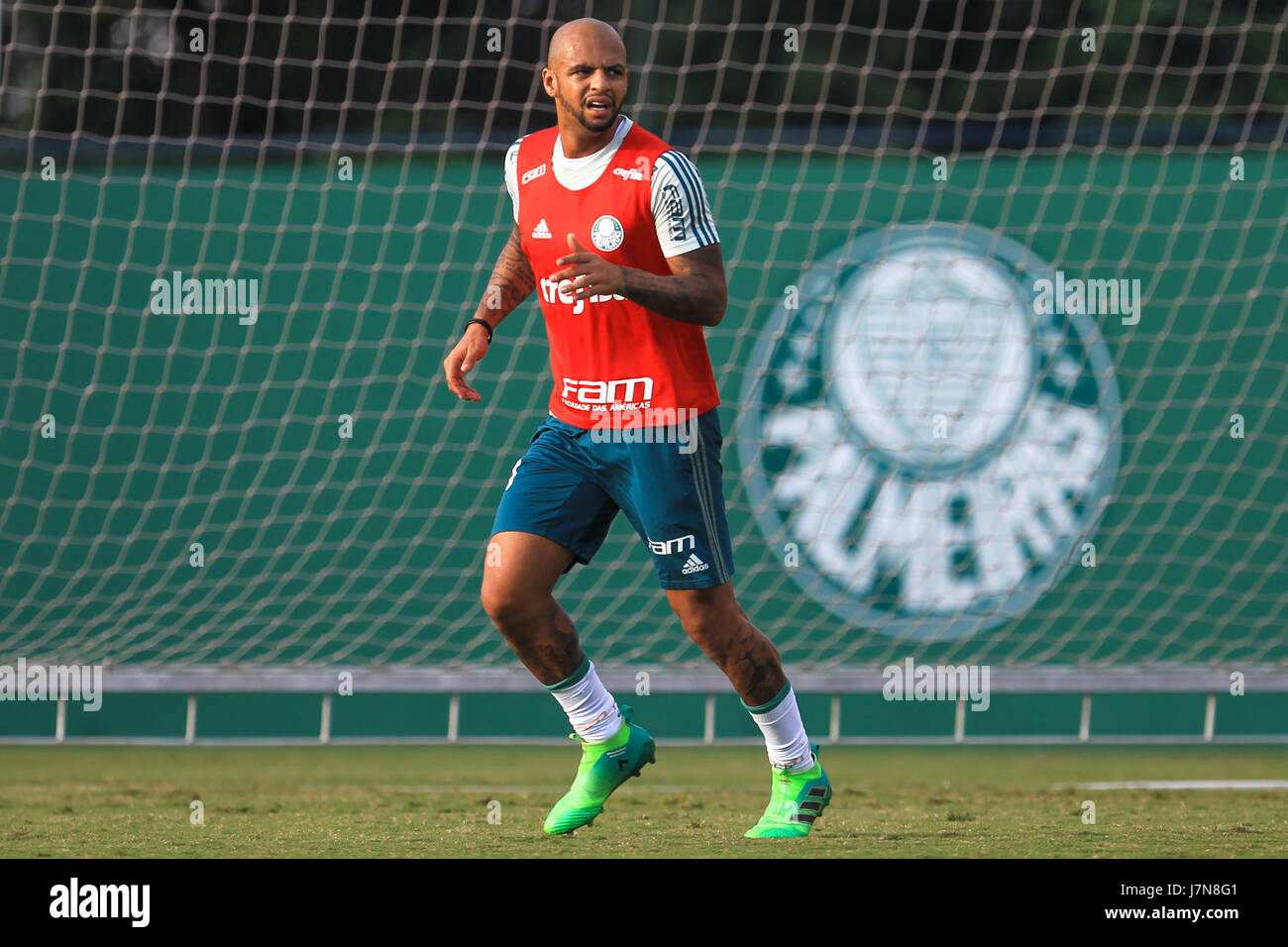 SÃO PAULO, SP - 25.05.2017: TREINO DO PALMEIRAS - Felipe Melo during ...