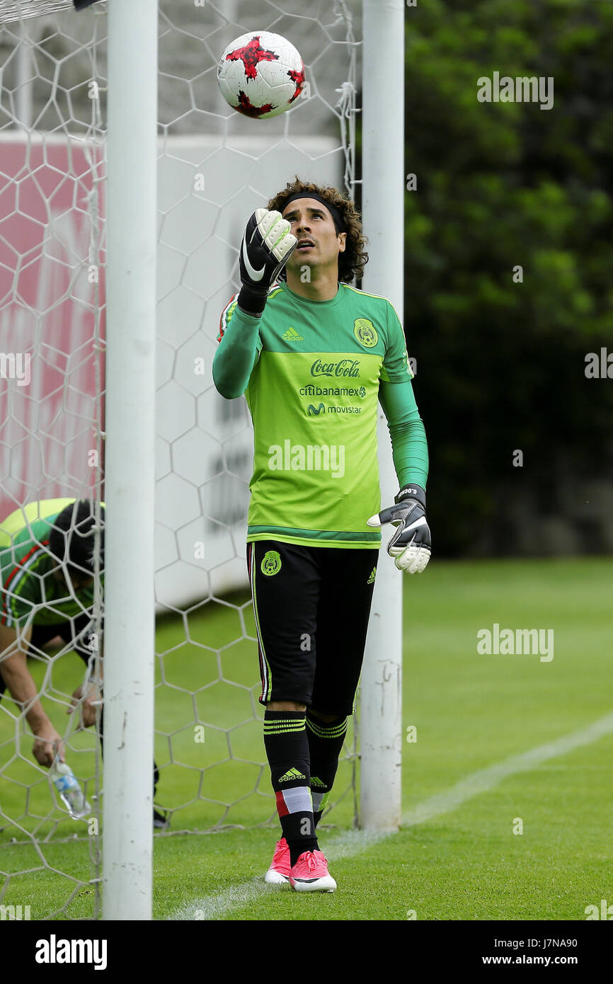 Guillermo Ochoa Stock Photos & Guillermo Ochoa Stock Images - Alamy