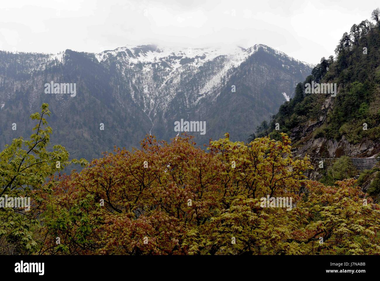 Gongshan. 25th May, 2017. Photo taken on May 25, 2017 shows the scenery ...