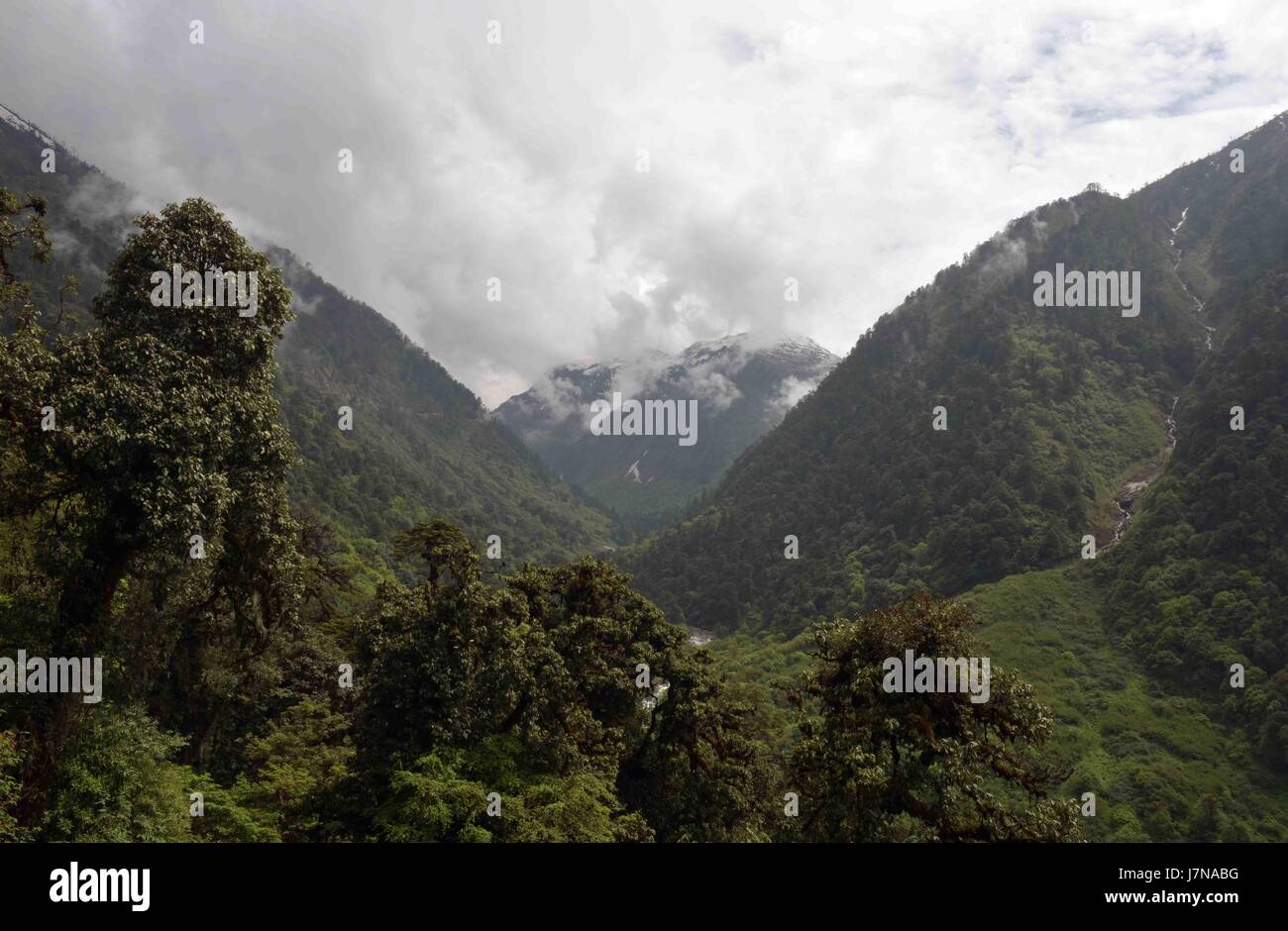 Gongshan. 25th May, 2017. Photo taken on May 25, 2017 shows the scenery ...