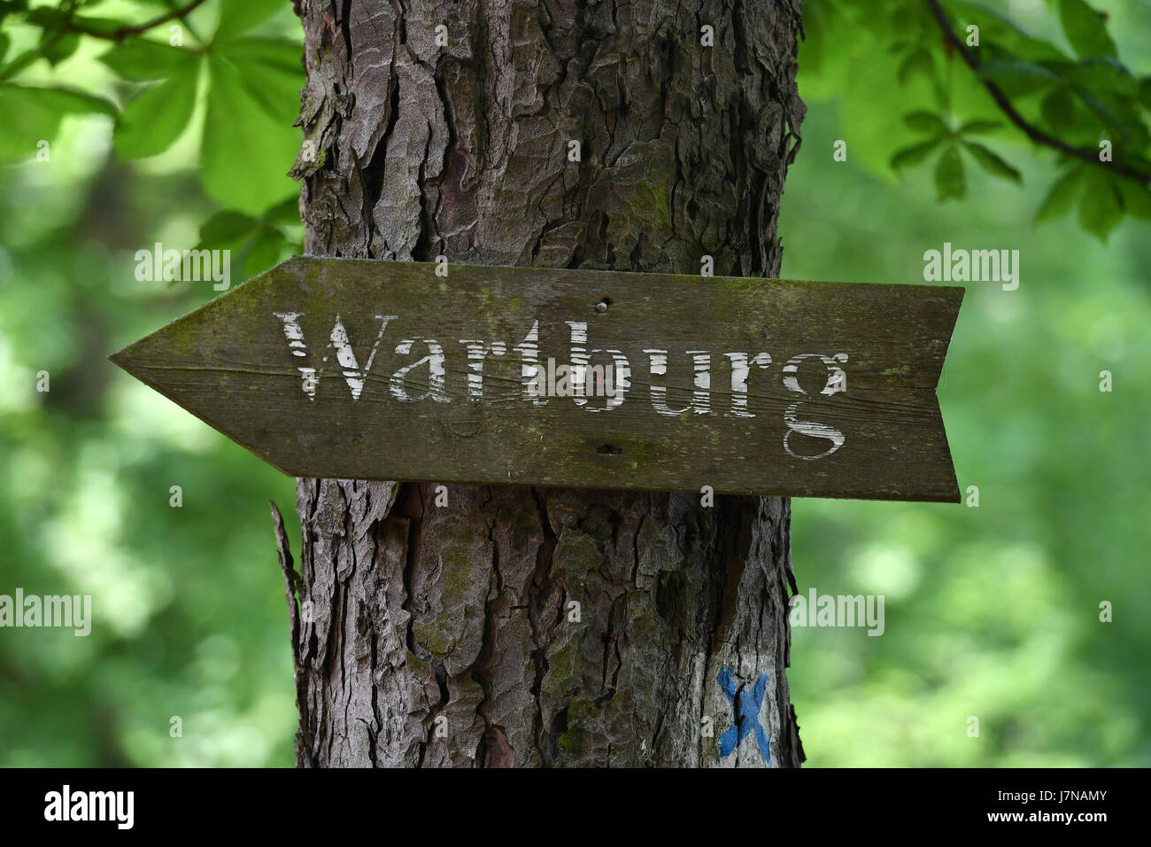 Donkey ride sign hi-res stock photography and images - Alamy