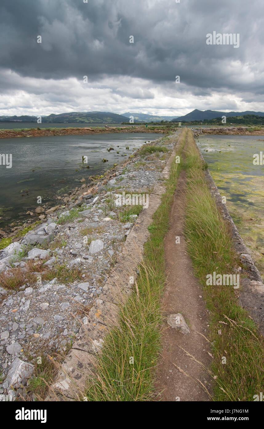 blue horizon sunset cloud beach seaside the beach seashore sunrise ...