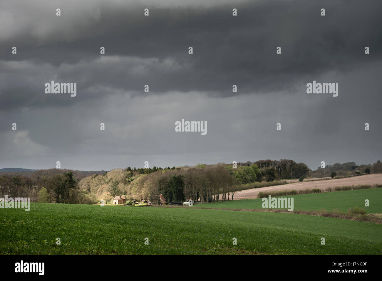 Beautiful agricultural English countryside landscape during early ...
