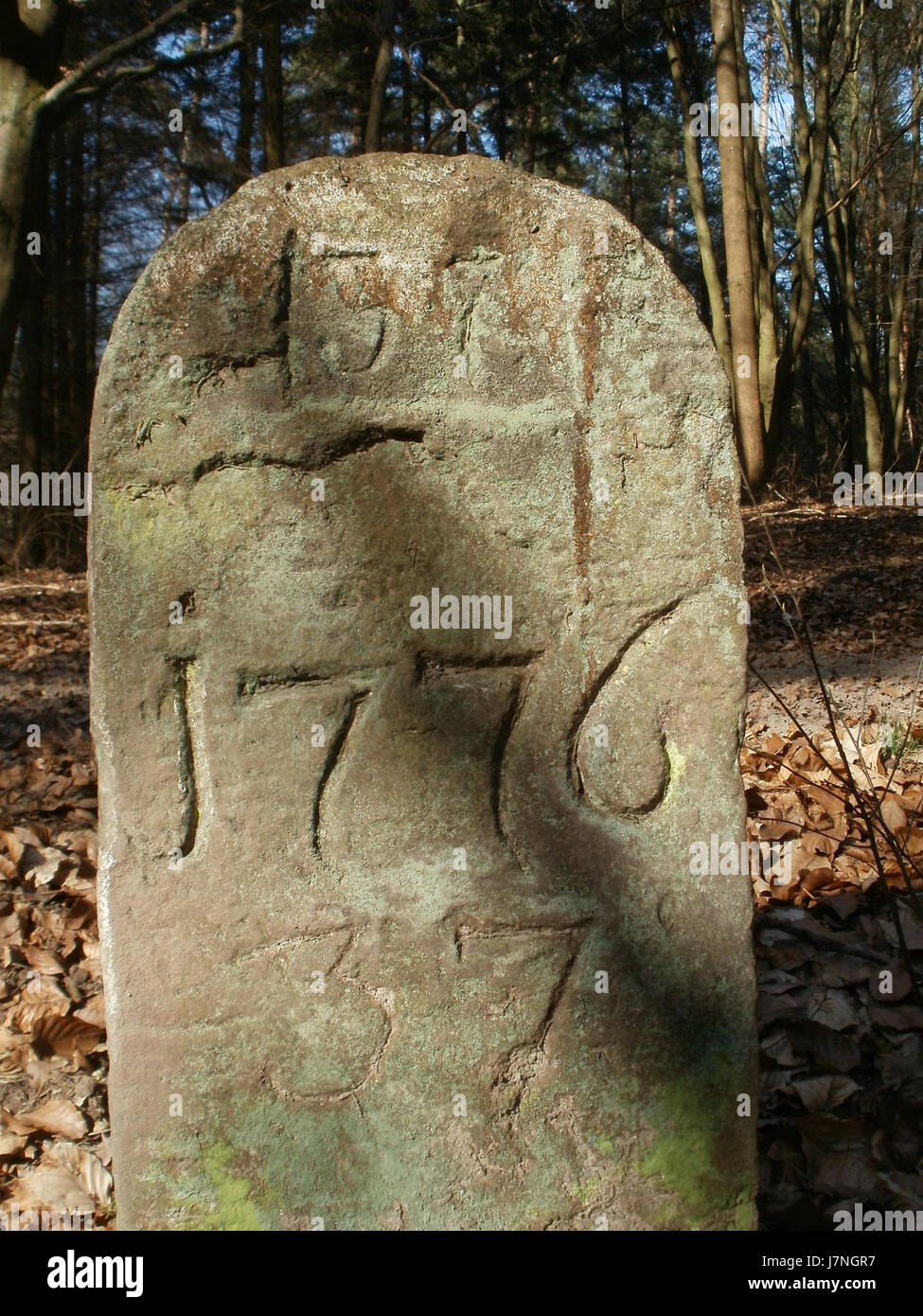 The Grenzstein Hoher Stein refers to a boundary stone or marker ...