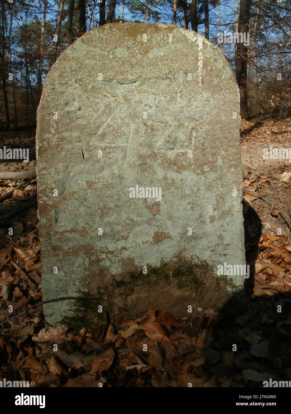 The Grenzstein Hoher Stein is a historic boundary stone located in ...