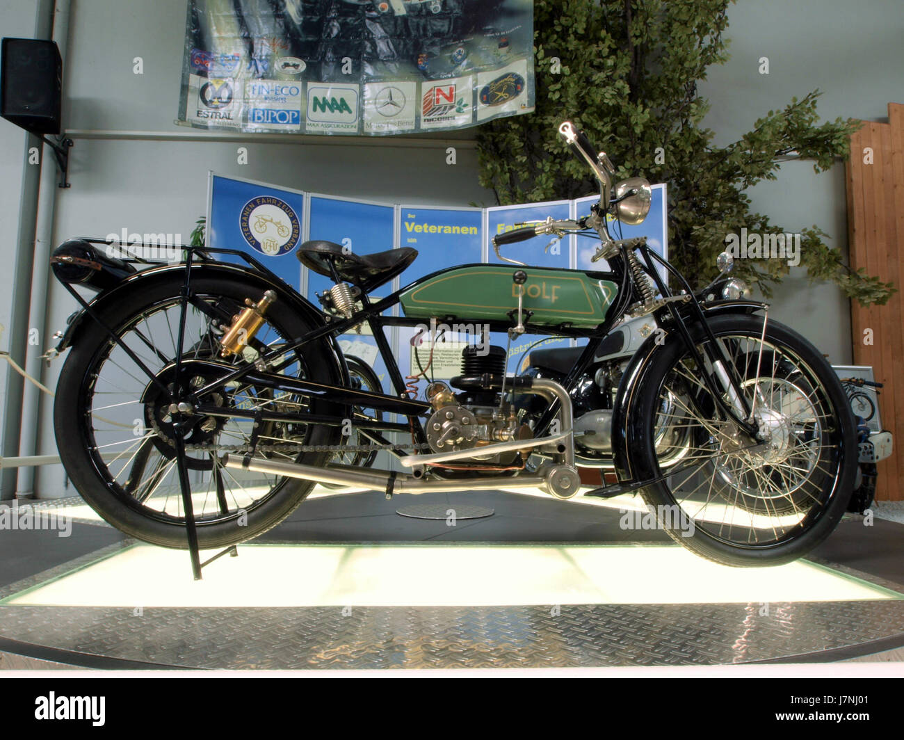 Dolf hi-res stock photography and images - Alamy