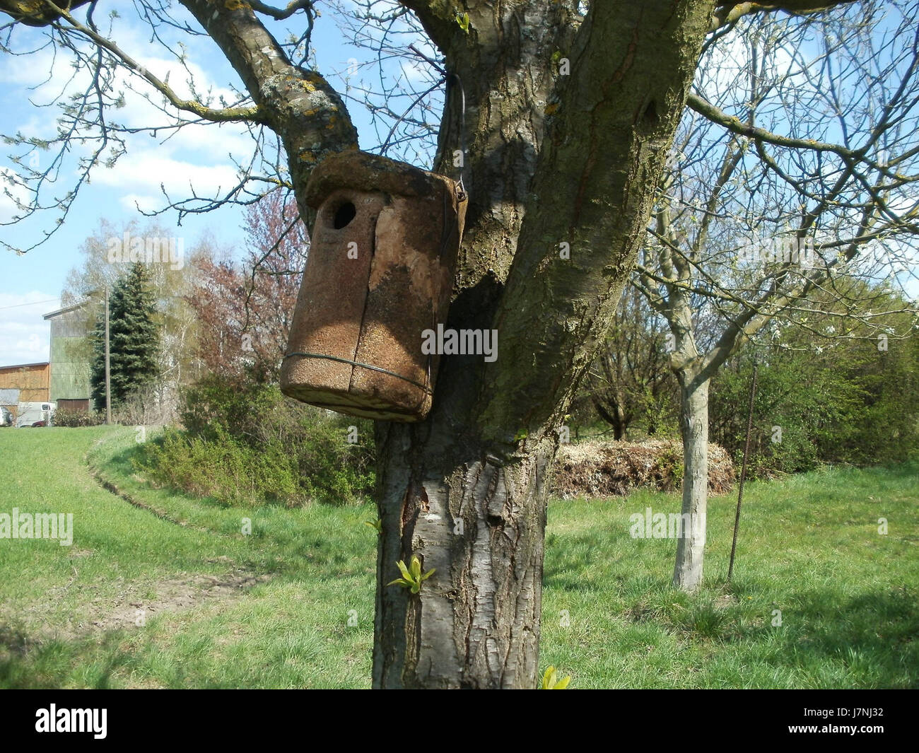 The Streuobstwiese in Reilingen, Germany, is a traditional orchard ...