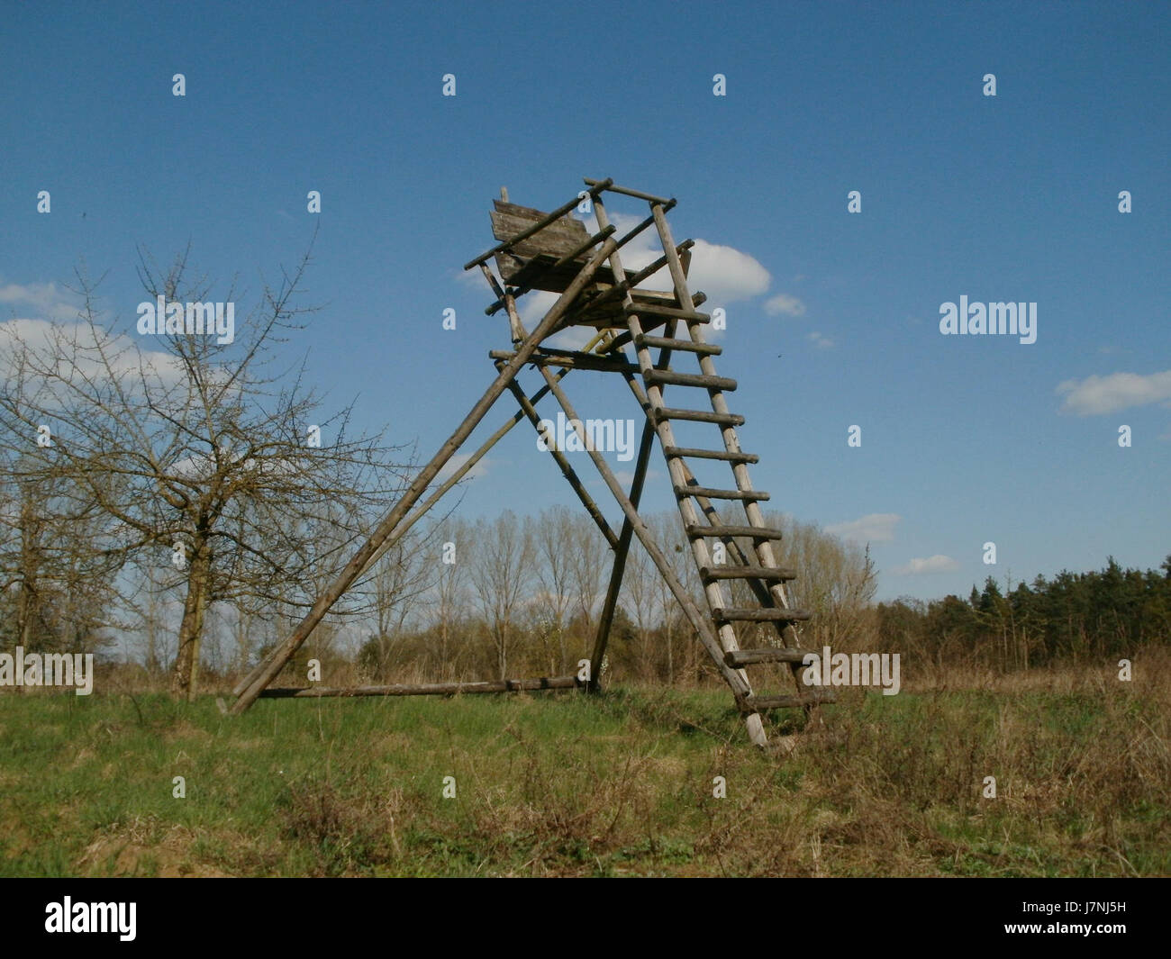 Elevated wooden observation tower stands hi-res stock photography and ...