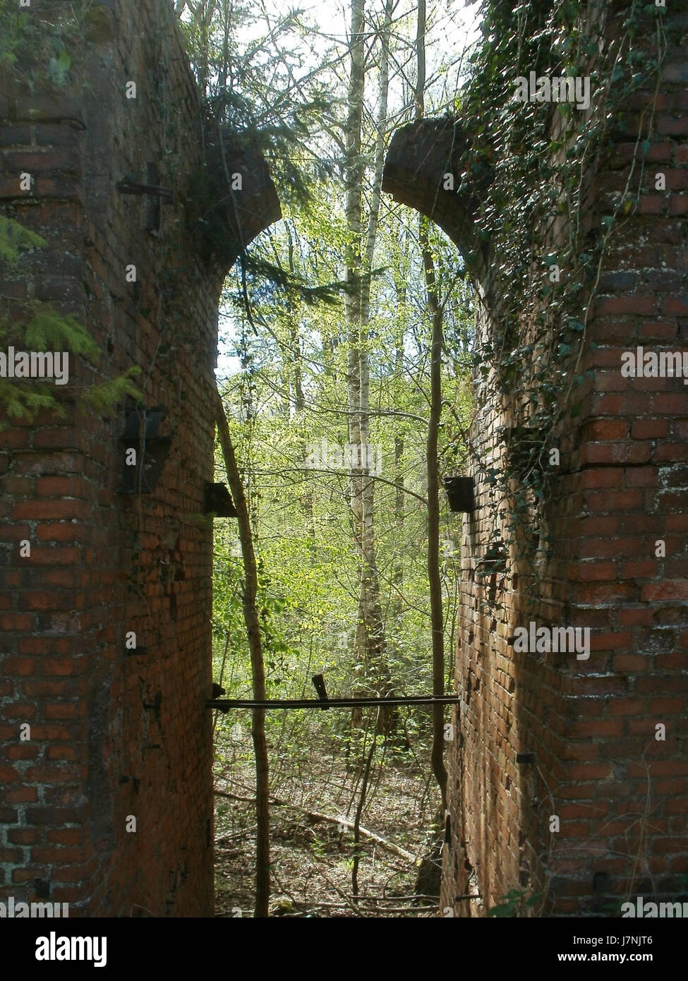 Labeled artifacts hi-res stock photography and images - Alamy