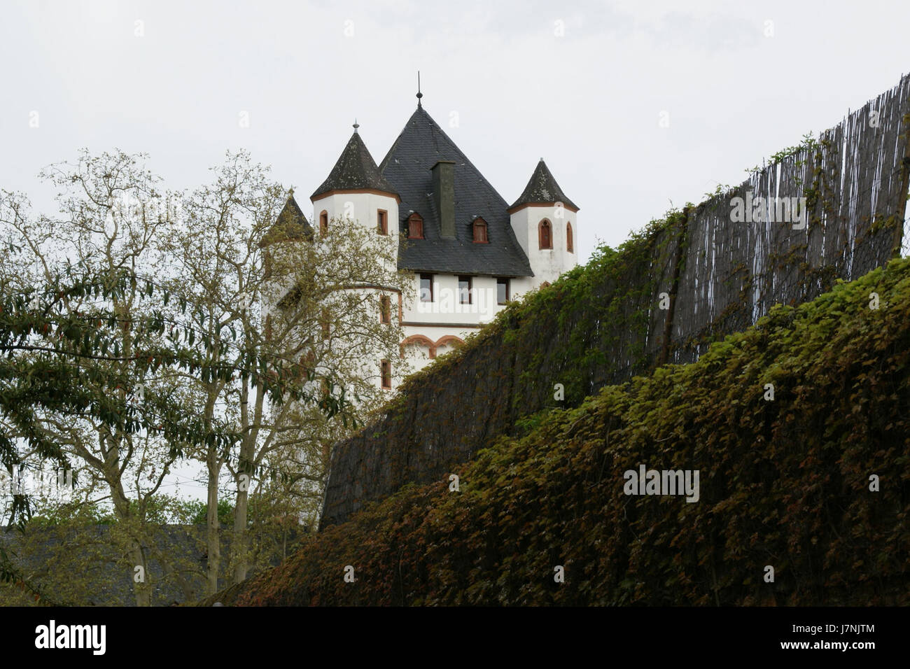 Eltville burg hi-res stock photography and images - Alamy
