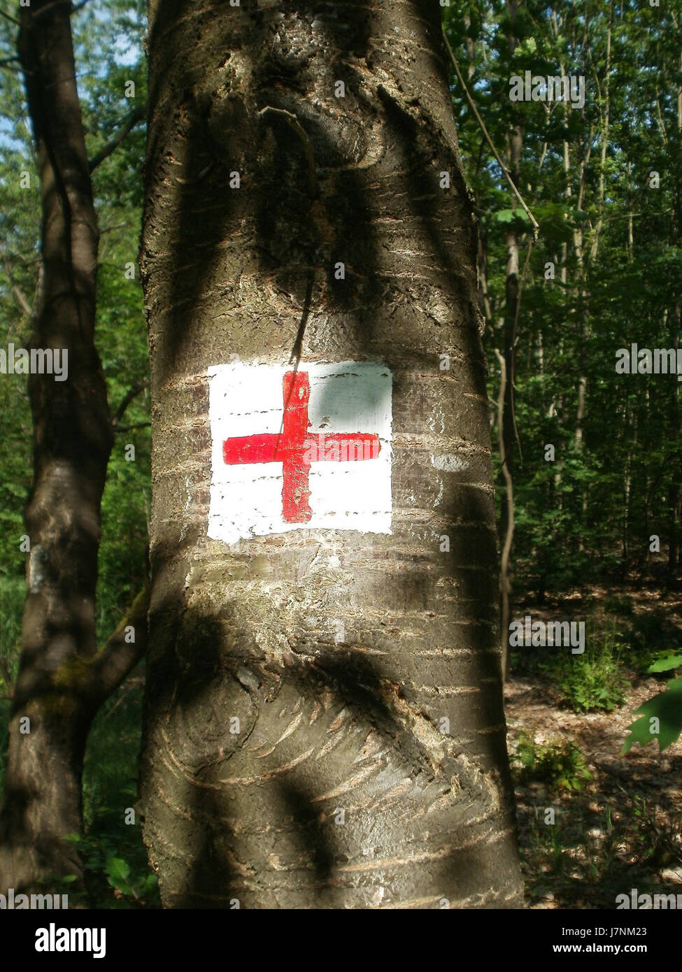 This image shows the Wegmarkierung (waymarking) on Pumpwerkweg, a road ...