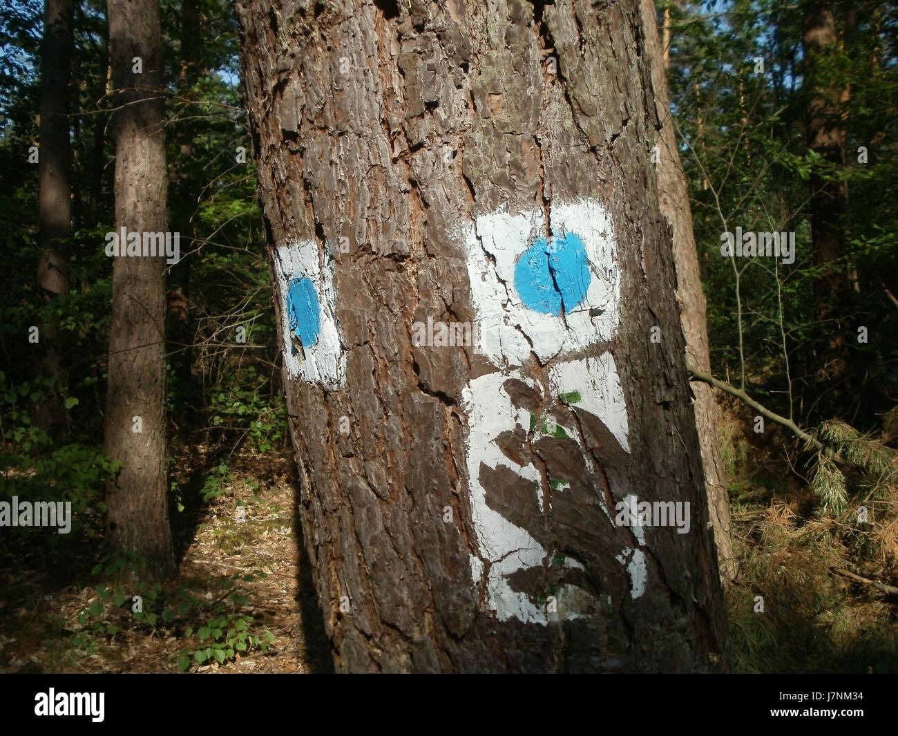 The title refers to a photographic record of road marking or line ...