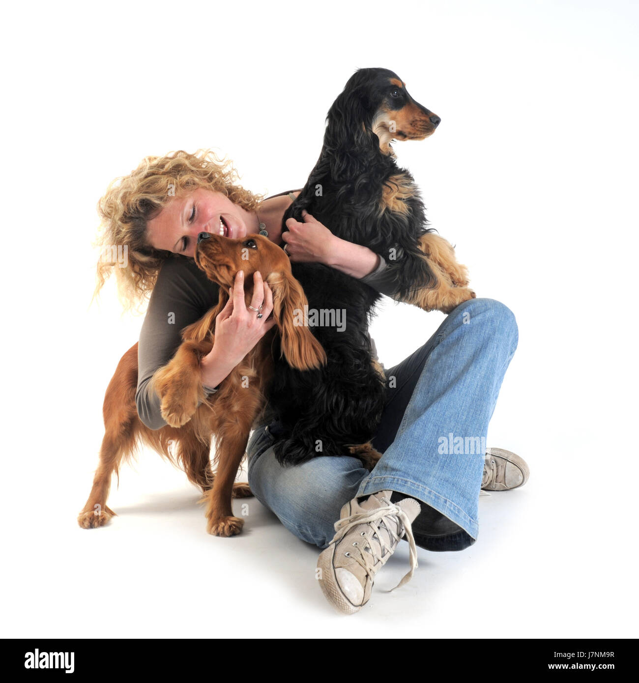 woman dog english cocker spaniel laugh laughs laughing twit giggle ...