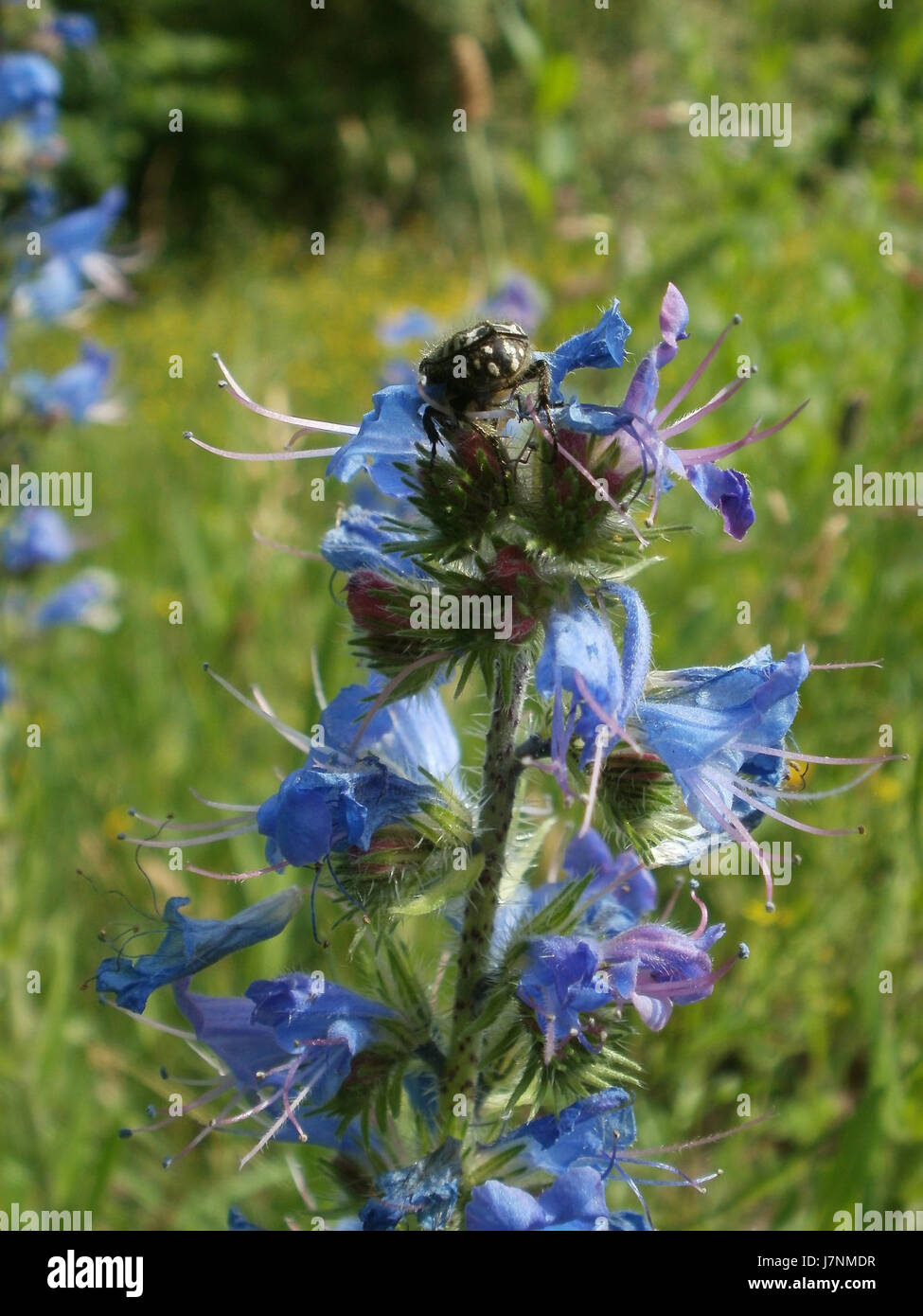 Themed event display hi-res stock photography and images - Alamy