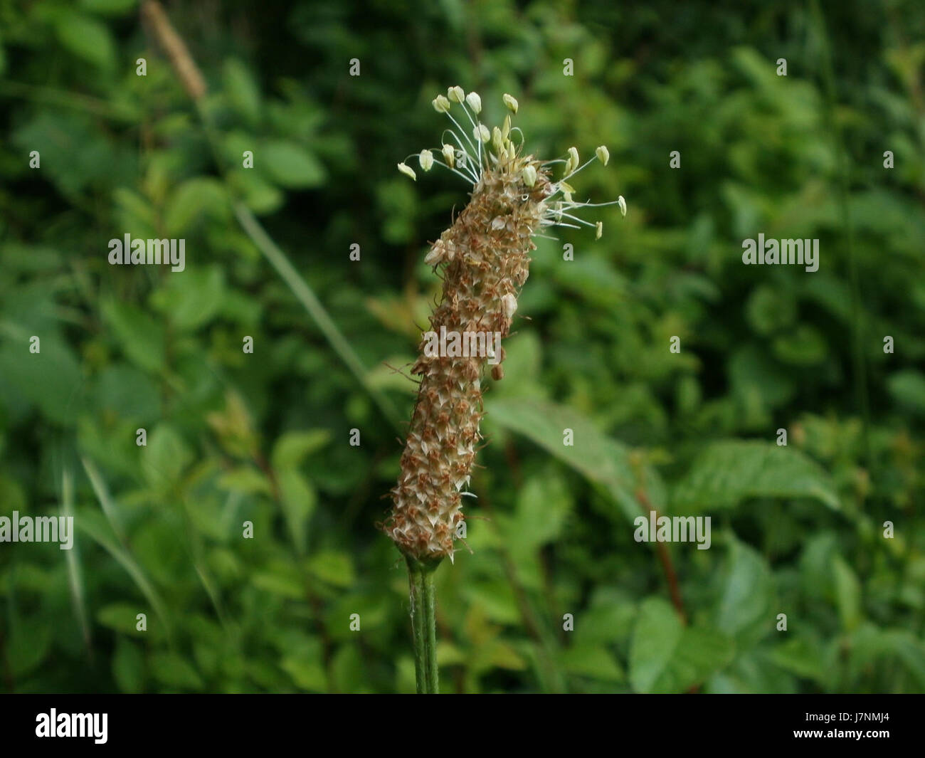 See2 hi-res stock photography and images - Alamy