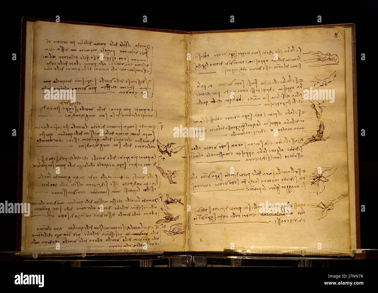 Da vinci codex hi-res stock photography and images - Alamy