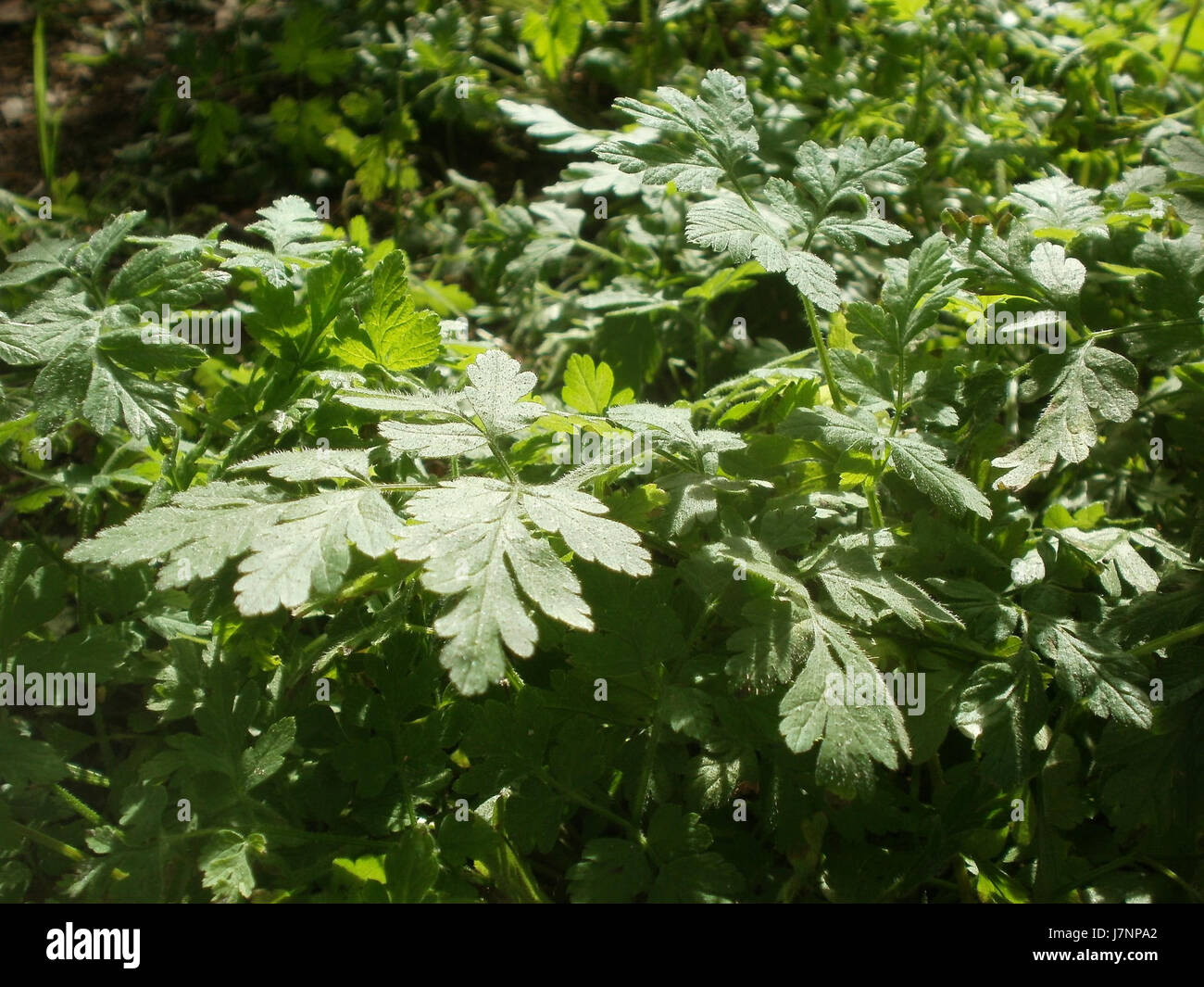 This image represents a snapshot of SaarbrÃ¼cken on July 1st, 2012 ...