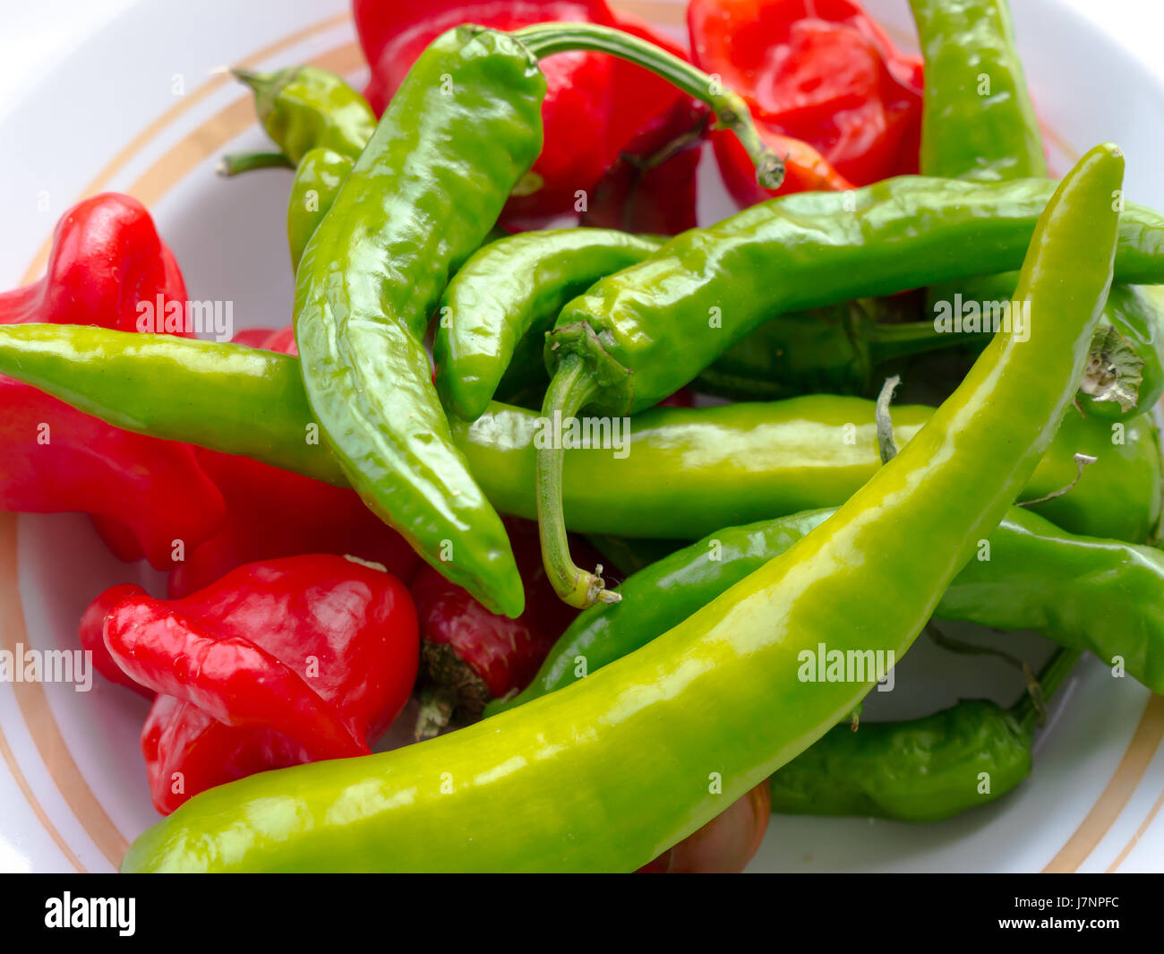 The nature vegetable Pepper object Stock Photo - Alamy