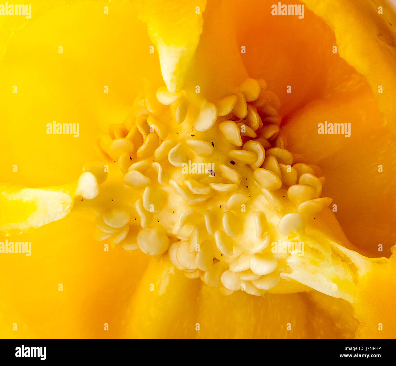 The nature vegetable Pepper object Stock Photo - Alamy