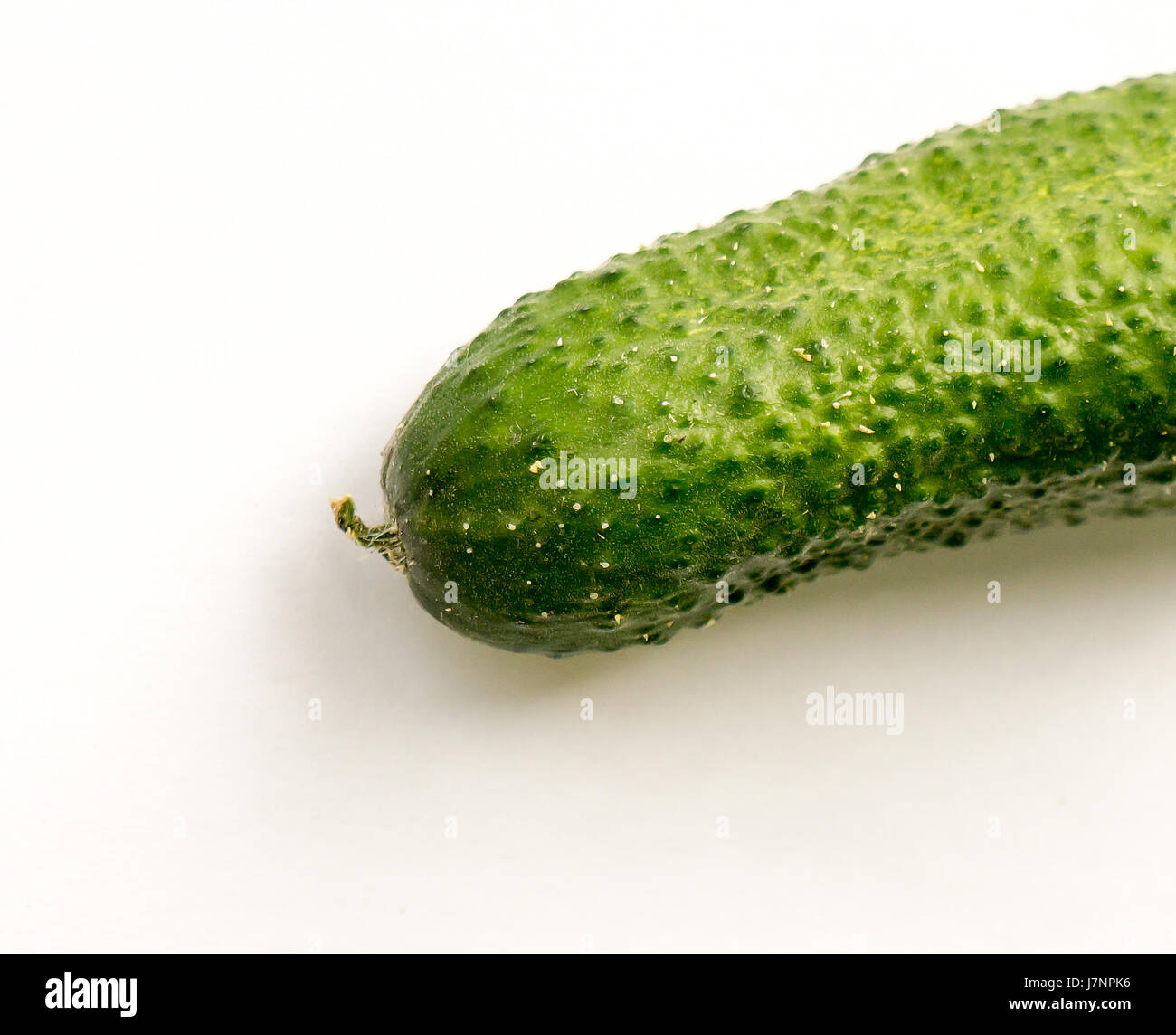 The green isolated nature Cucumber Stock Photo - Alamy