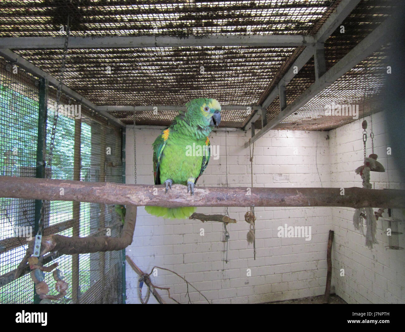 Hockenheim attractions hi-res stock photography and images - Alamy