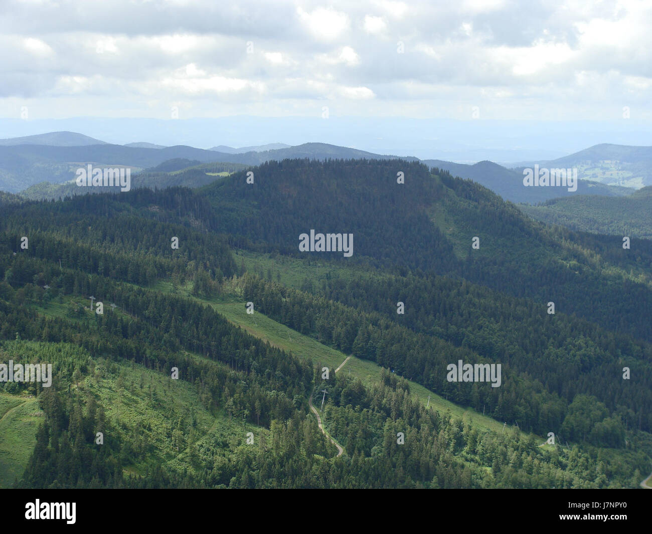 This photograph or image of the Schwarzwald (Black Forest) in Germany ...