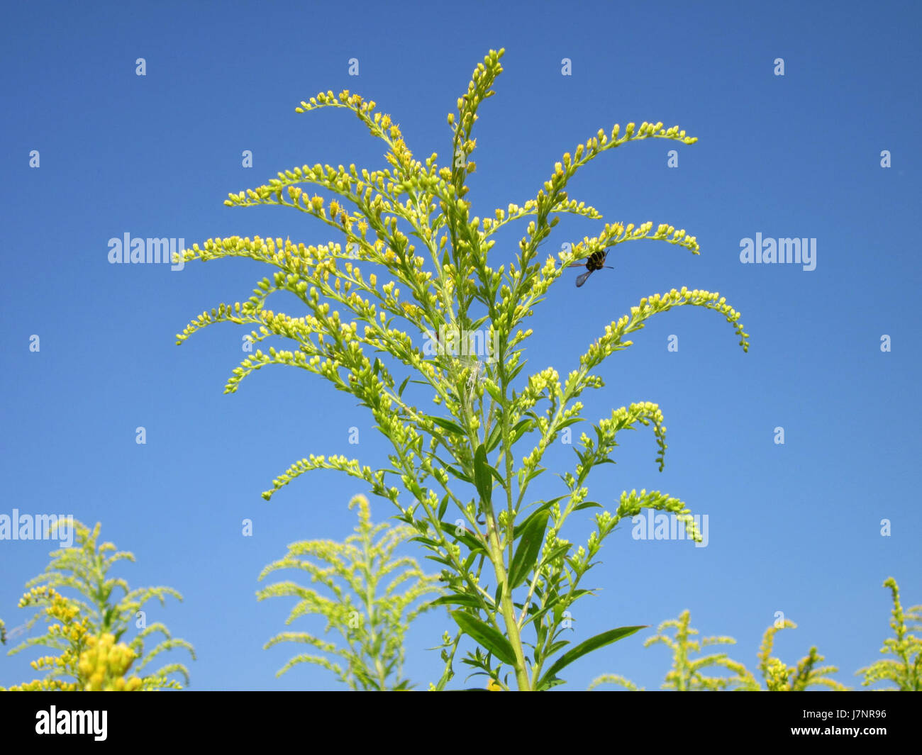 A photograph taken on July 25, 2012, captures a scenic view of ...