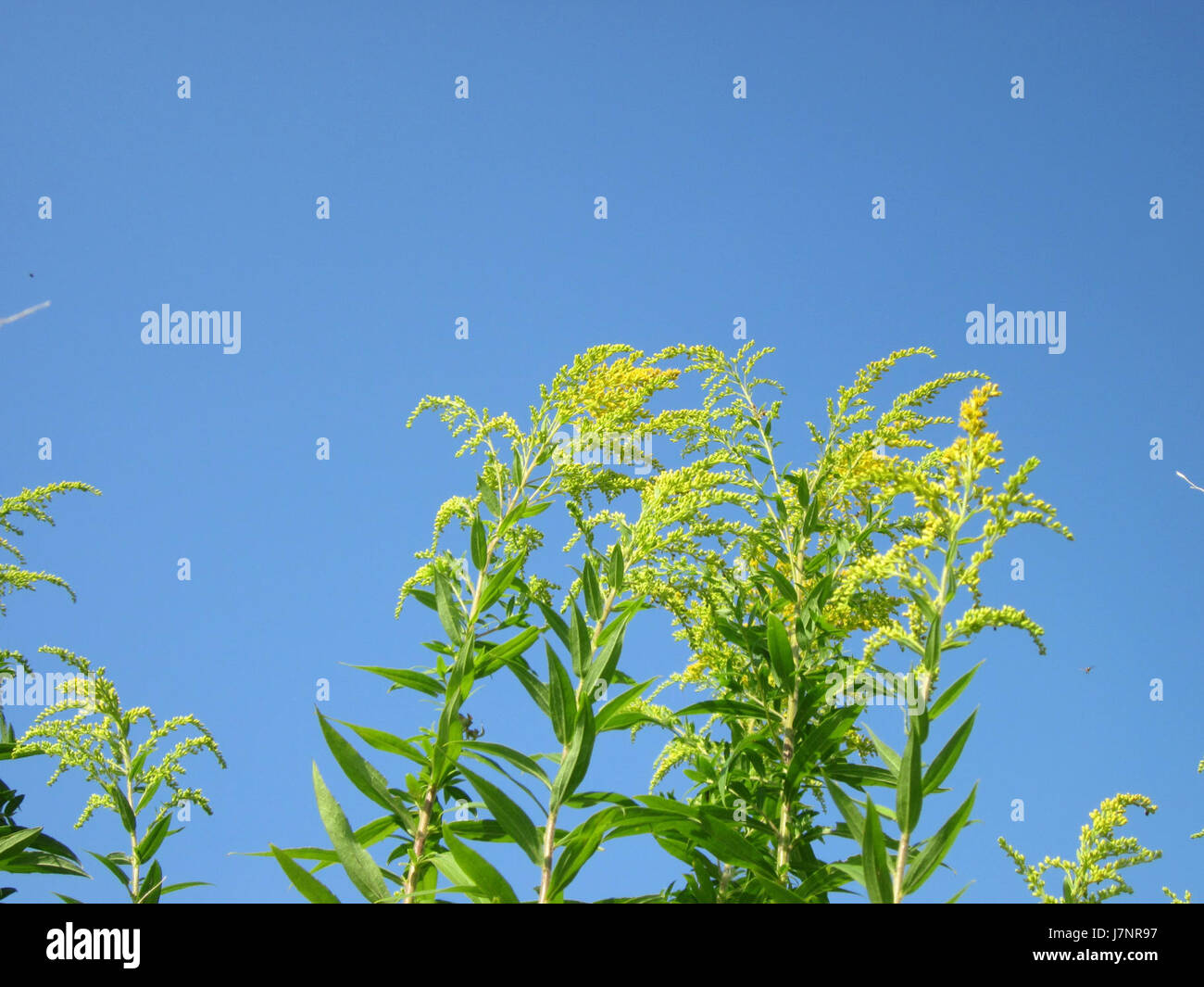 This photograph captures the landscape of Reilingen, a town in Germany ...