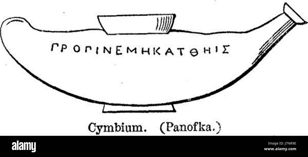 Cymbium refers to a genus of marine gastropods known for their striking ...