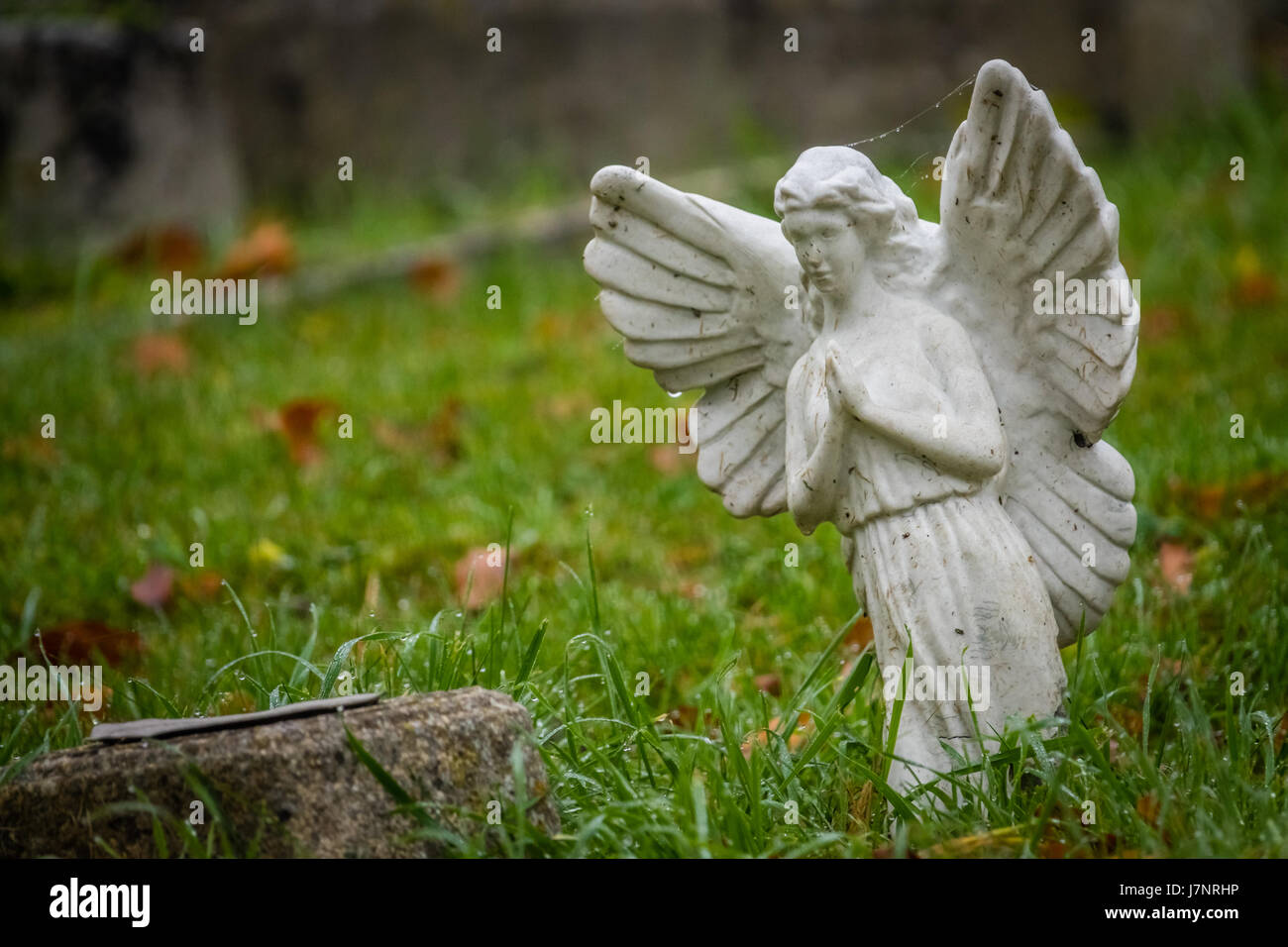 Tiny angel figure next to a grave in cemetery Stock Photo - Alamy
