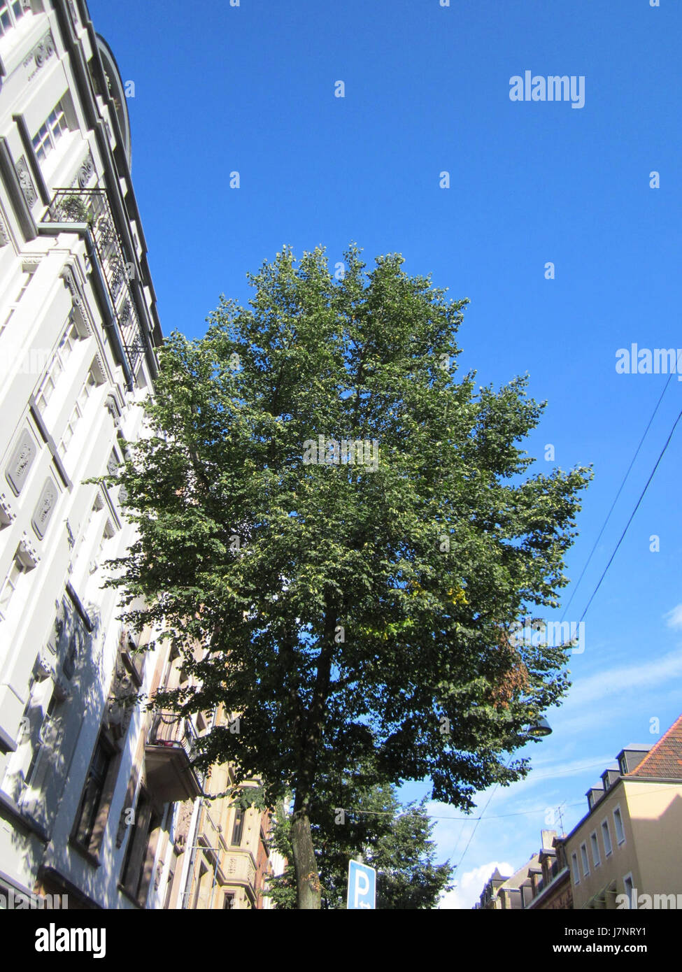 This photograph shows Linde Mainzer Strasse in SaarbrÃ¼cken, Germany ...