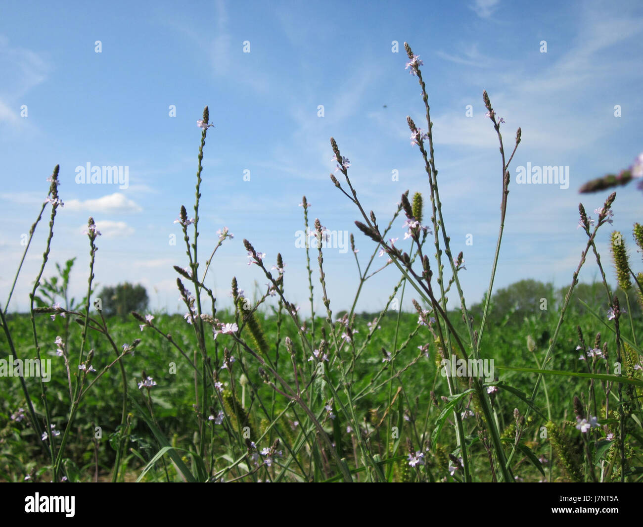 Photojournalistic imagery hi-res stock photography and images - Alamy