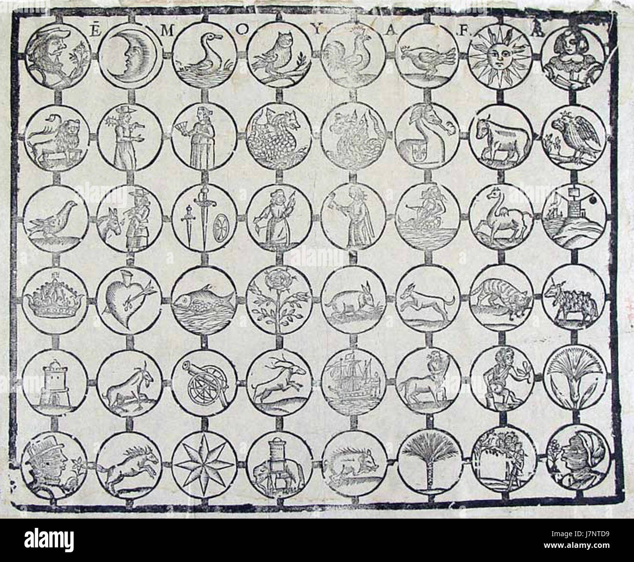 Auca hi-res stock photography and images - Alamy