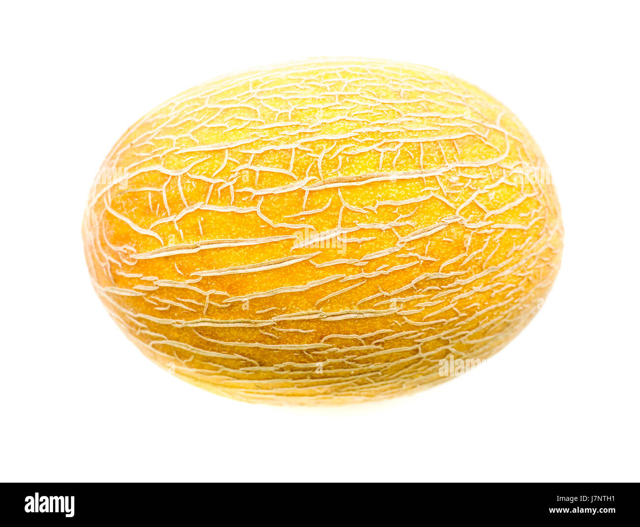 The natur vegetable Melon object Stock Photo - Alamy