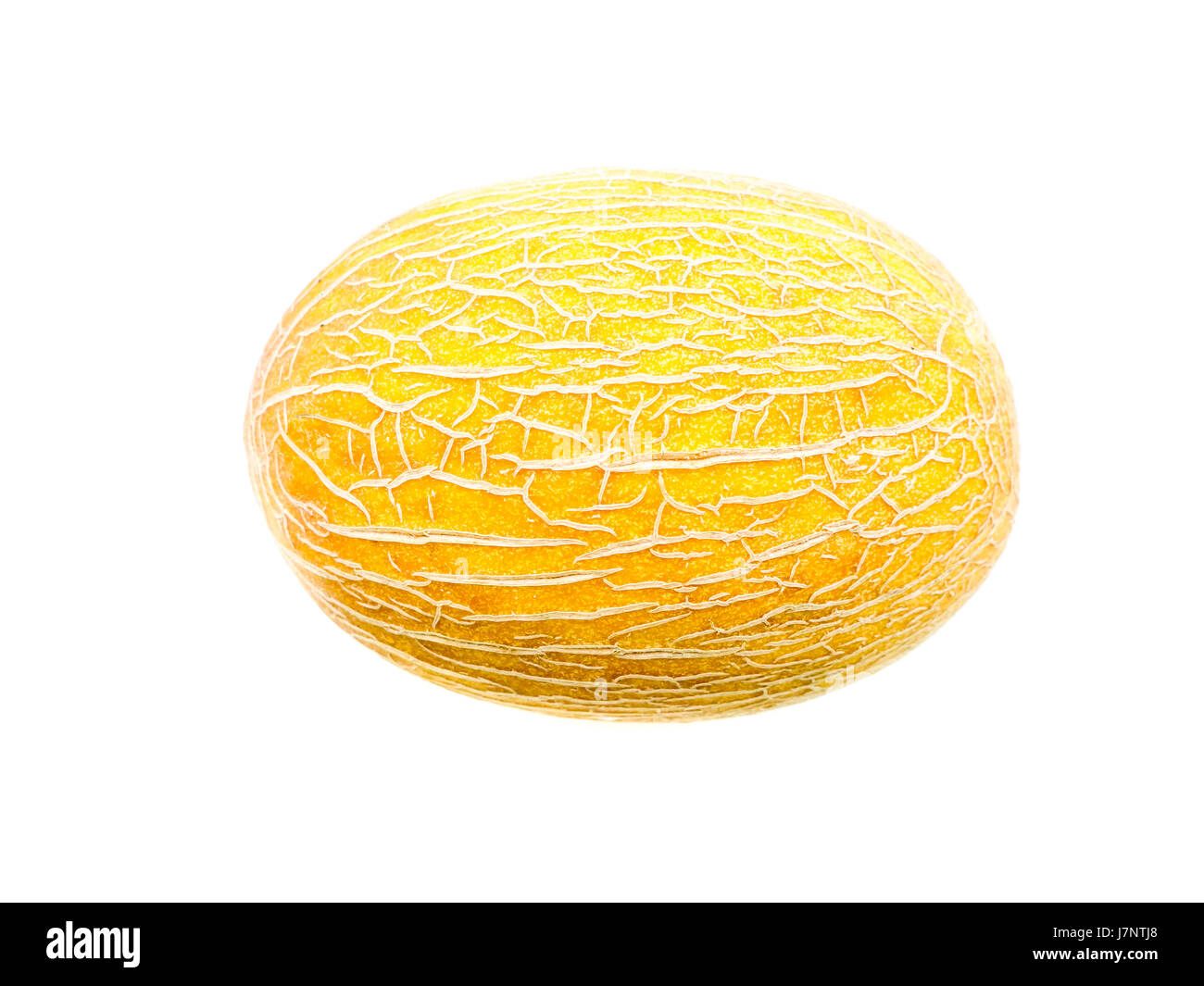 The natur vegetable Melon object Stock Photo - Alamy