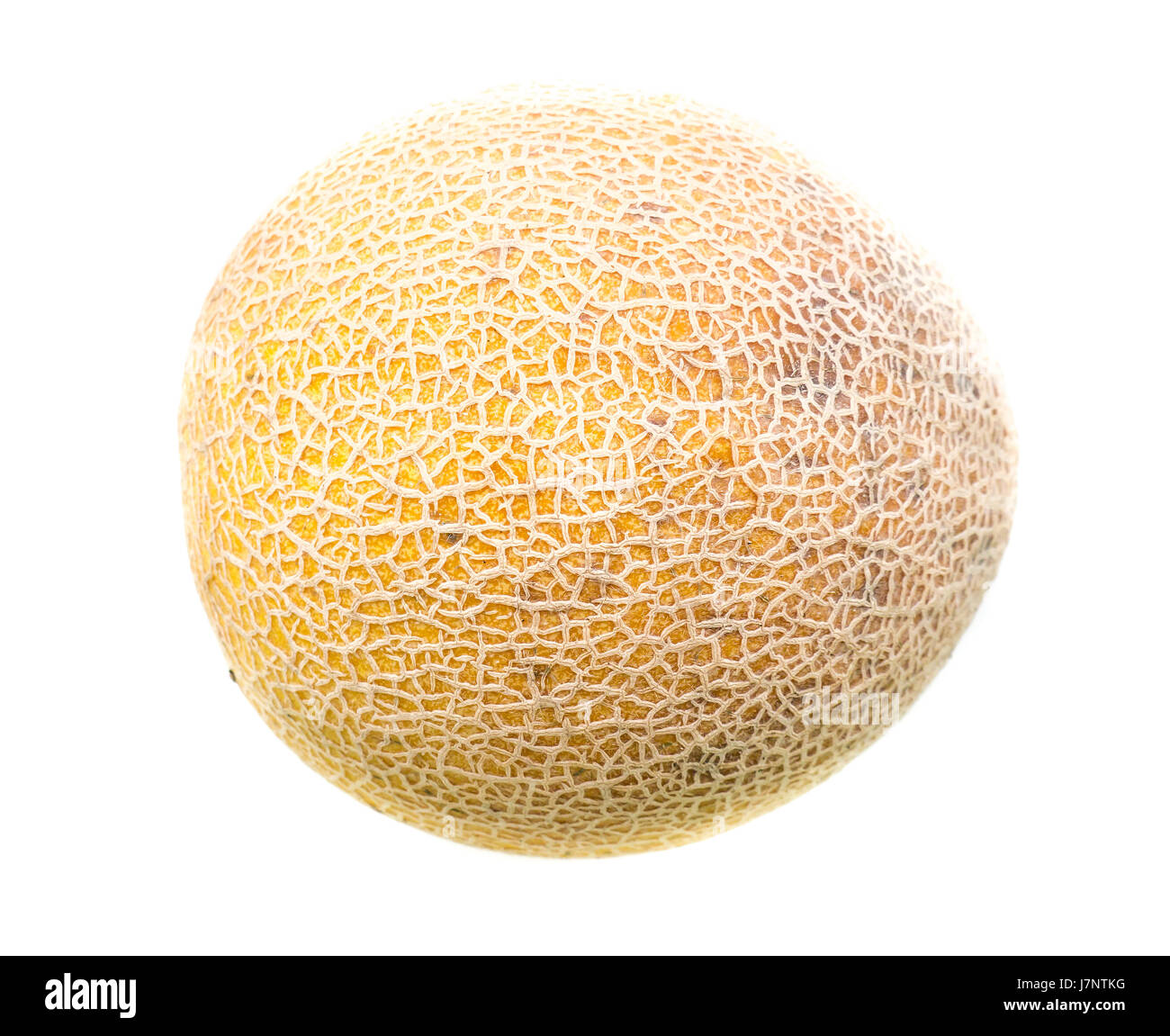 The natur vegetable Melon object Stock Photo - Alamy