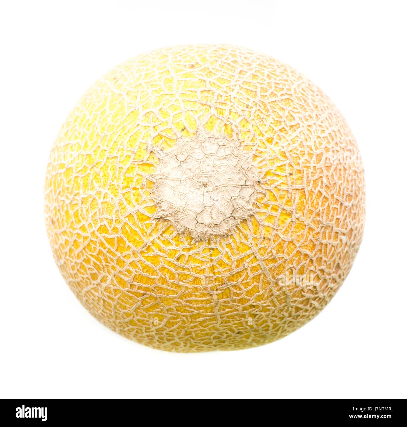 The natur vegetable Melon object Stock Photo - Alamy