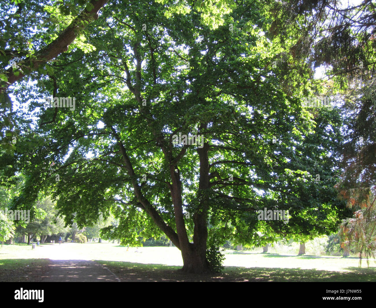 This entry references an event or location in Saarbruecken, Germany ...