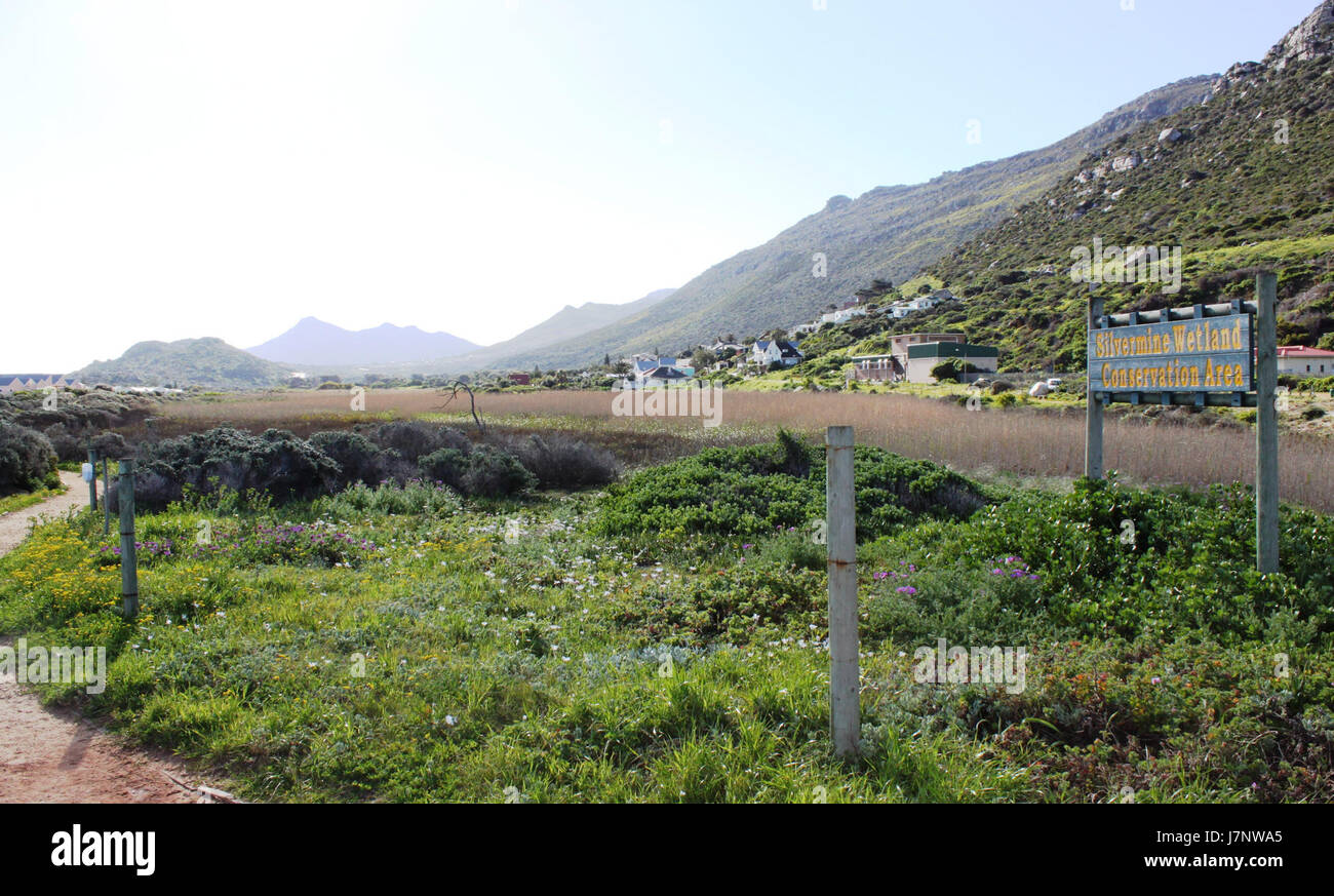 Lower silvermine river wetlands hi-res stock photography and images - Alamy