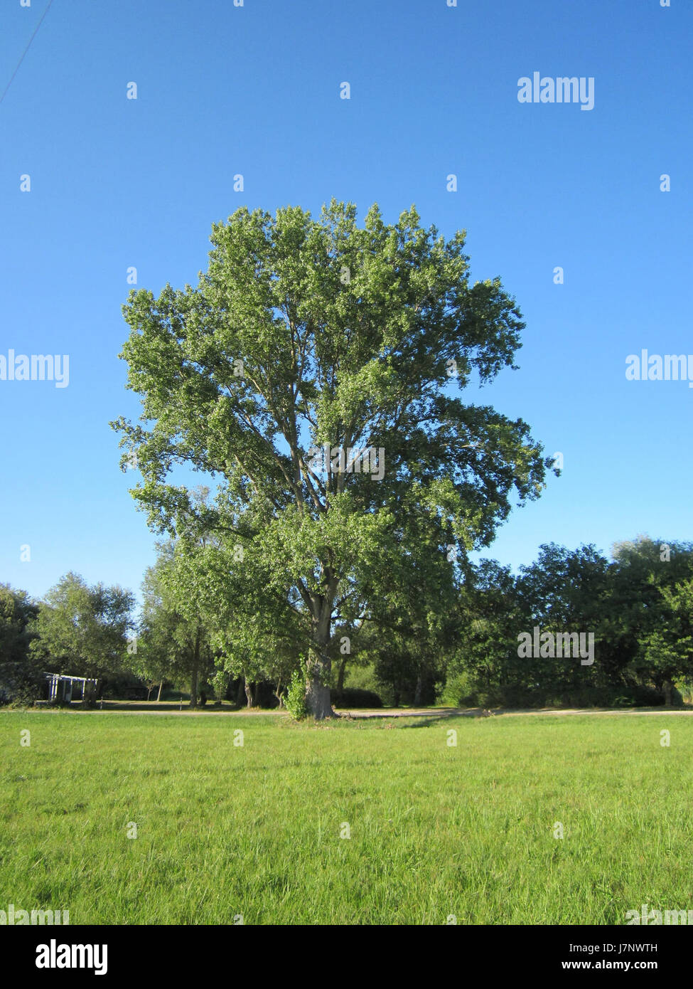 Marking significance hi-res stock photography and images - Alamy