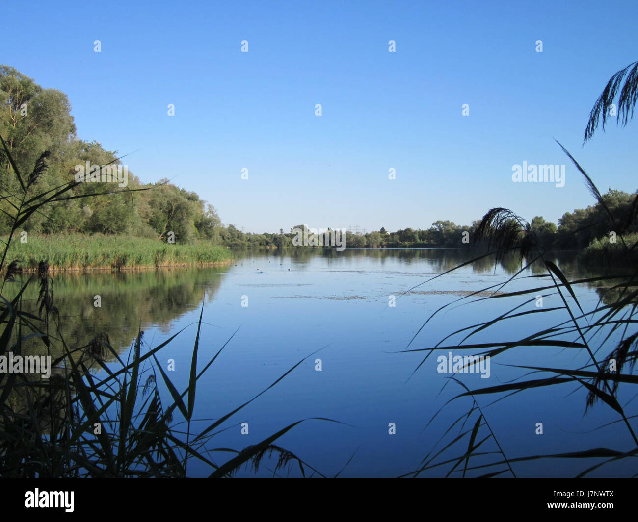 Baggersee Silz is a lake located in Germany, known for its natural ...