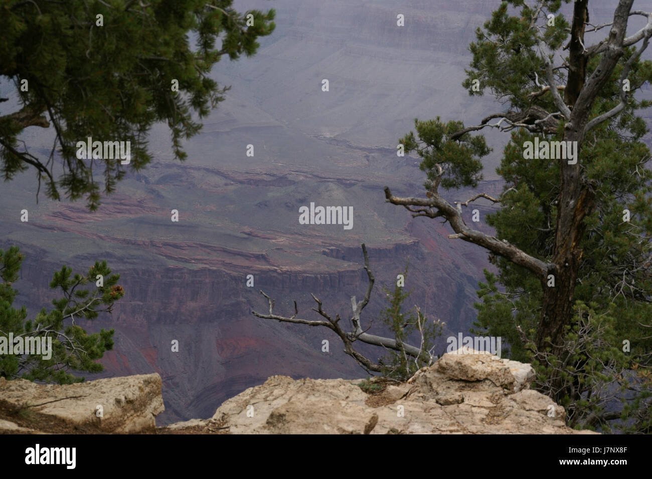 2012.09.13.103846 View Rim Trail Grand Canyon Arizona Stock Photo - Alamy