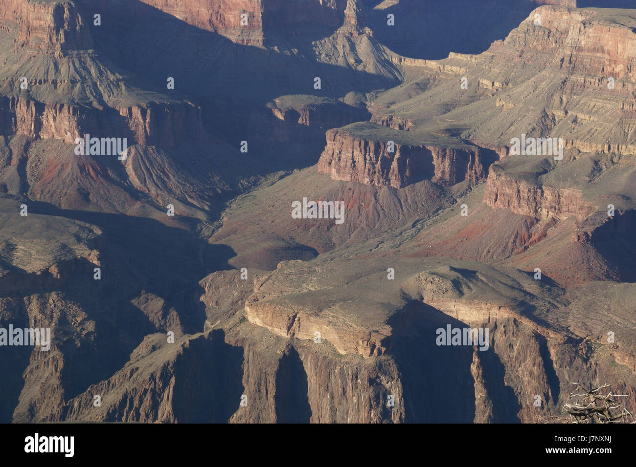 View grand canyon showcasing hi-res stock photography and images - Alamy