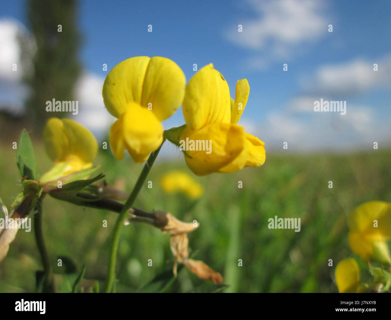 Event in the racing calendar hi-res stock photography and images - Alamy