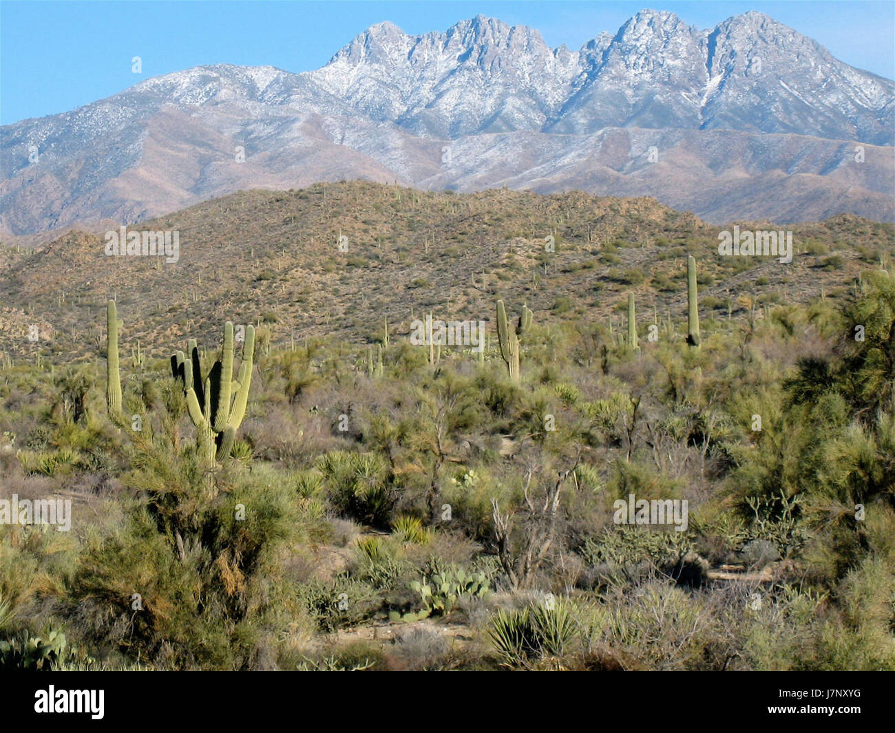 Range of distinct shapes hi-res stock photography and images - Alamy