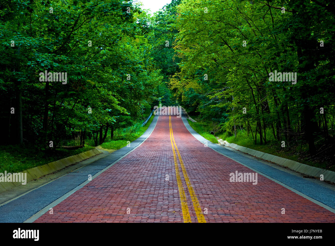 travel traffic transportation motorway highway road path way street ...