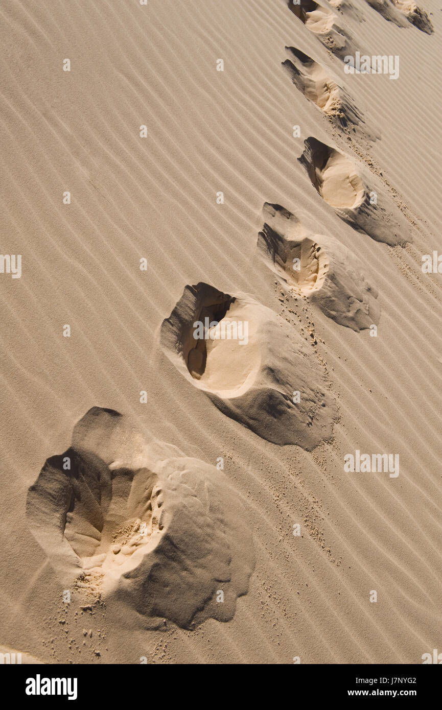 isolation backdrop background sands sand nature tracks footprints ...