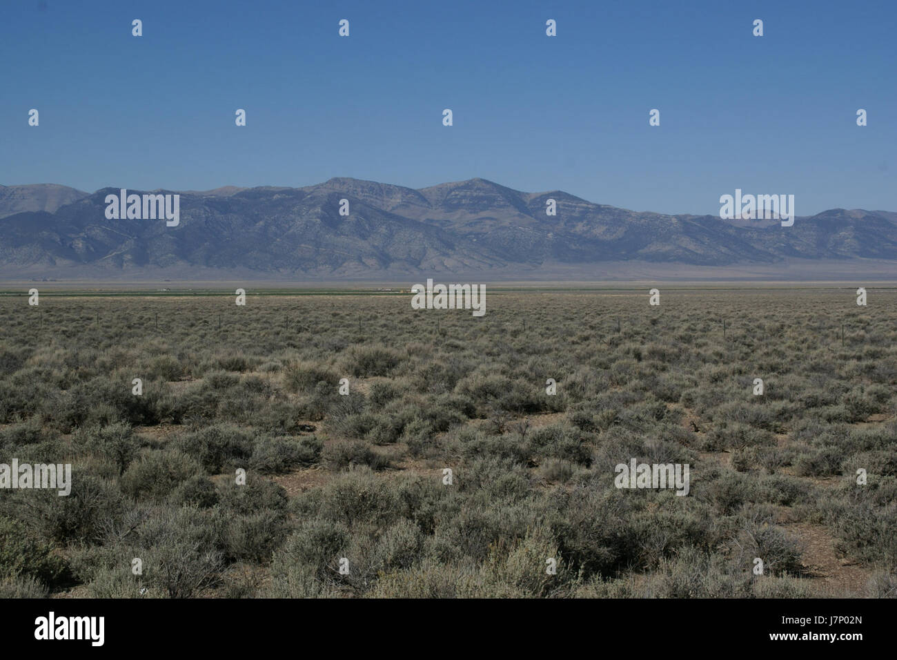 Goshute tribe hi-res stock photography and images - Alamy