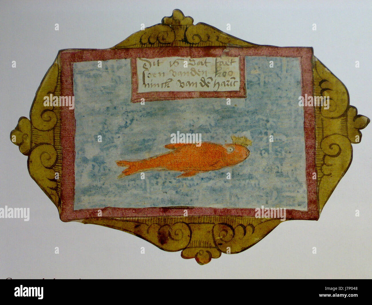 'Afbeelding haringkoning' refers to an image or illustration of a ...