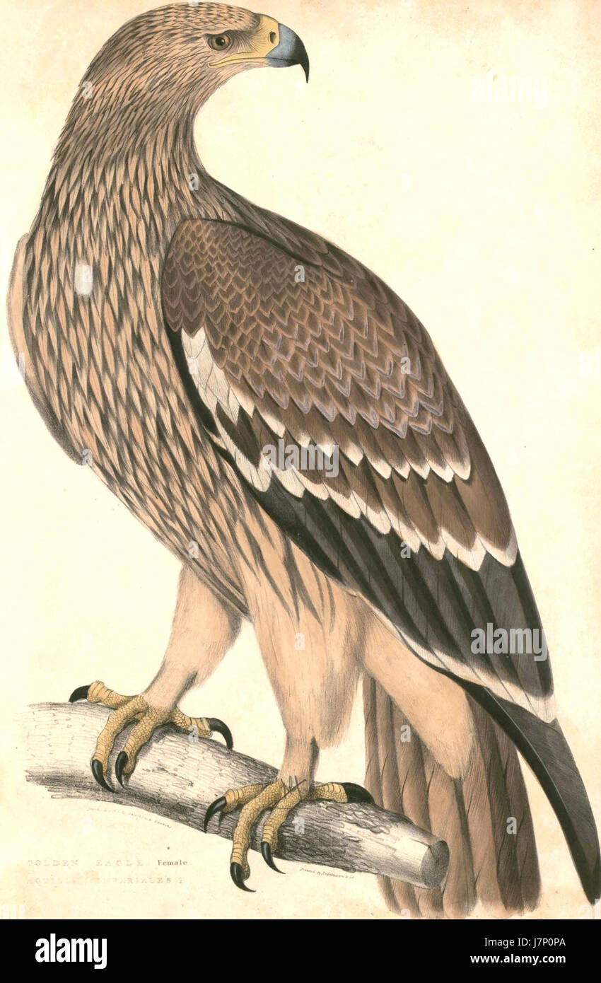 Aquila map hi-res stock photography and images - Alamy